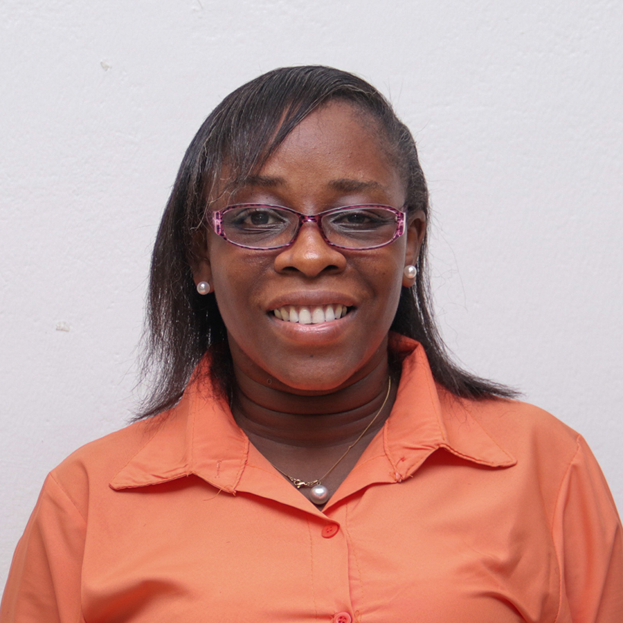 BOARD OF DIRECTORS - Participatory Development Associates (PDA)